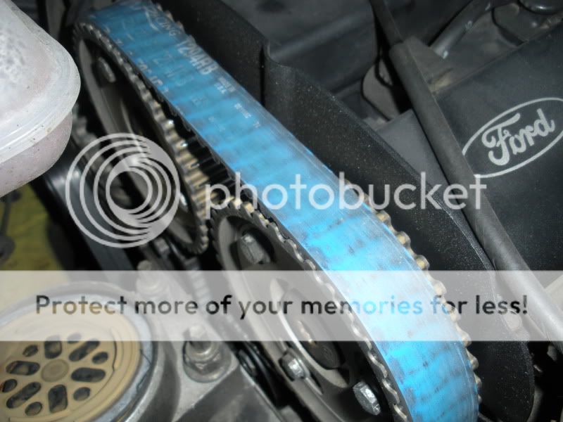 Svt timing belt | Focus Fanatics Forum