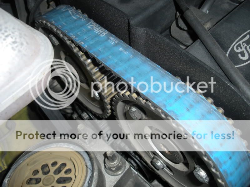 Svt timing belt | Focus Fanatics Forum