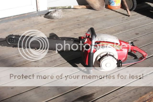 What is the most aesthetically pleasing saw? | Arboristsite.com