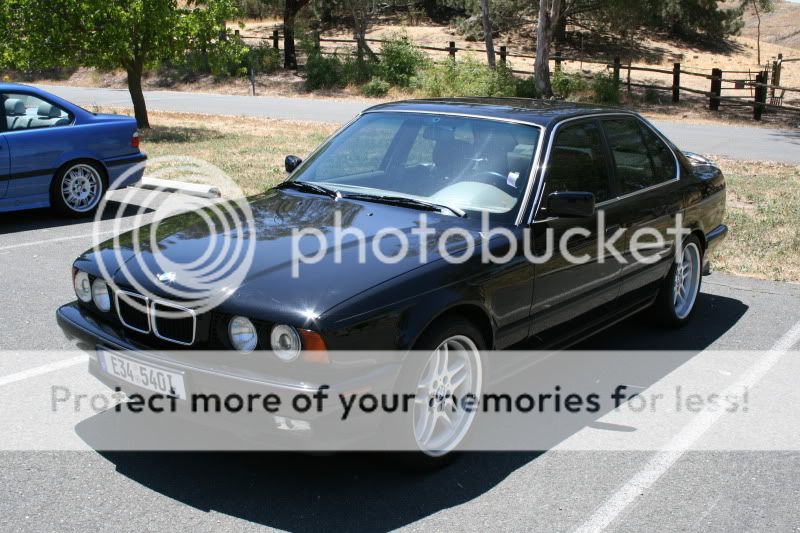 ///M pin stripe... replacement