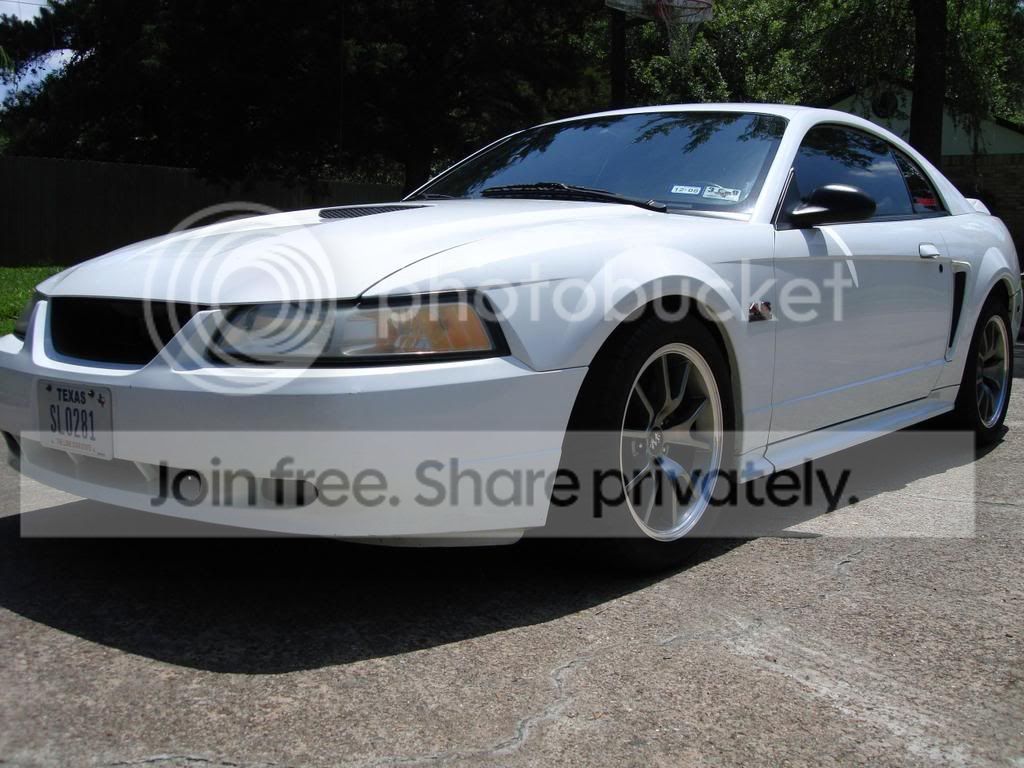 white new edge mustang pics - MustangForums.com