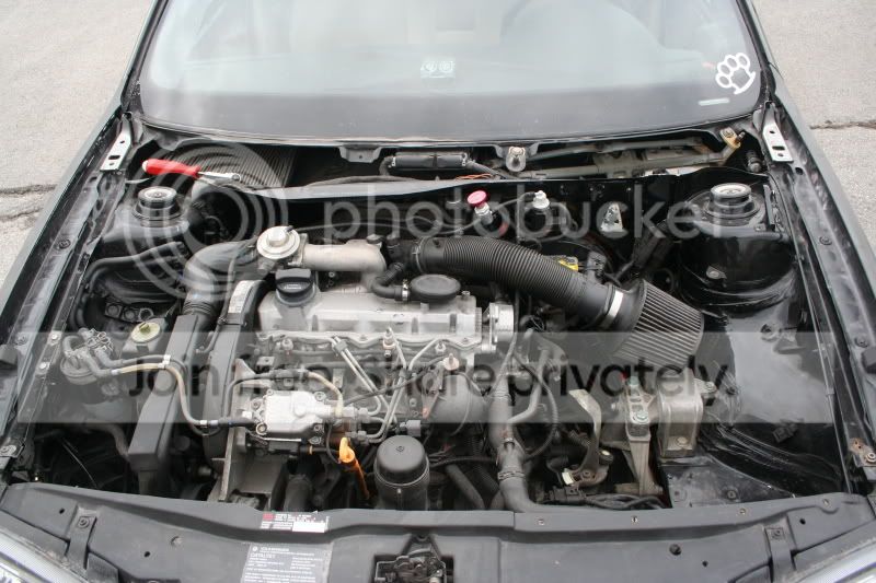 shaved tdi bay | VW Vortex - Volkswagen Forum
