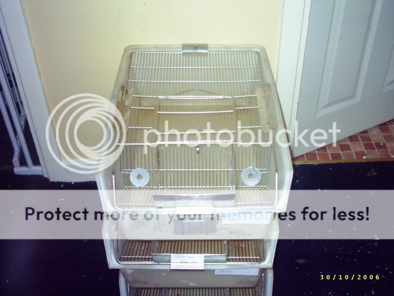 Rat Lab Breeding cages x 3 | Reptile Forums