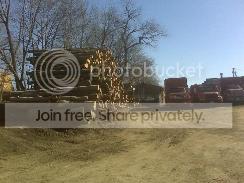 4-6ft Log Pile - $50 - Pics | Arborist, Chainsaw & Tree Work Forum