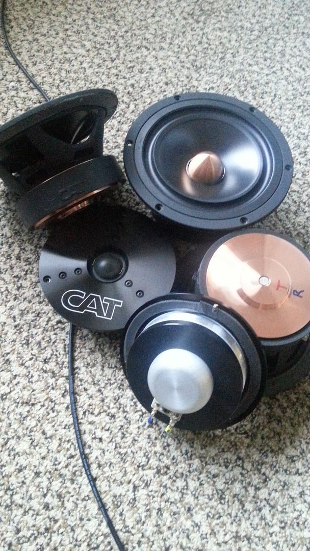 ID these drivers used in CAT speakers | AVS Forum