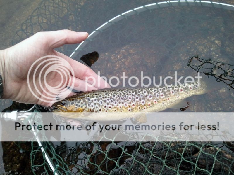Assynt Blog 2012 – Yorkshire Fly Fishing