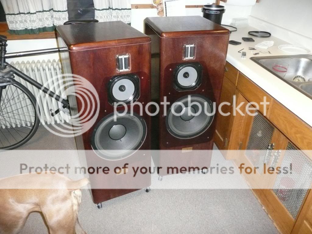 Rare Birds - Condors Acoustic Design SC-3 with Raven Ribbon Tweeters ...