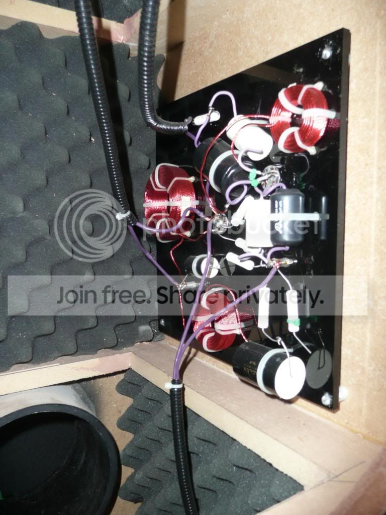 Rare Birds - Condors Acoustic Design SC-3 with Raven Ribbon Tweeters ...