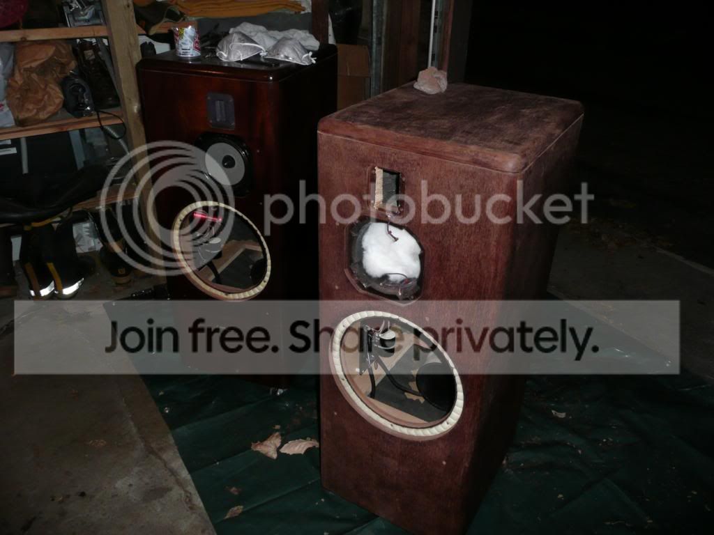 Rare Birds - Condors Acoustic Design SC-3 with Raven Ribbon Tweeters ...