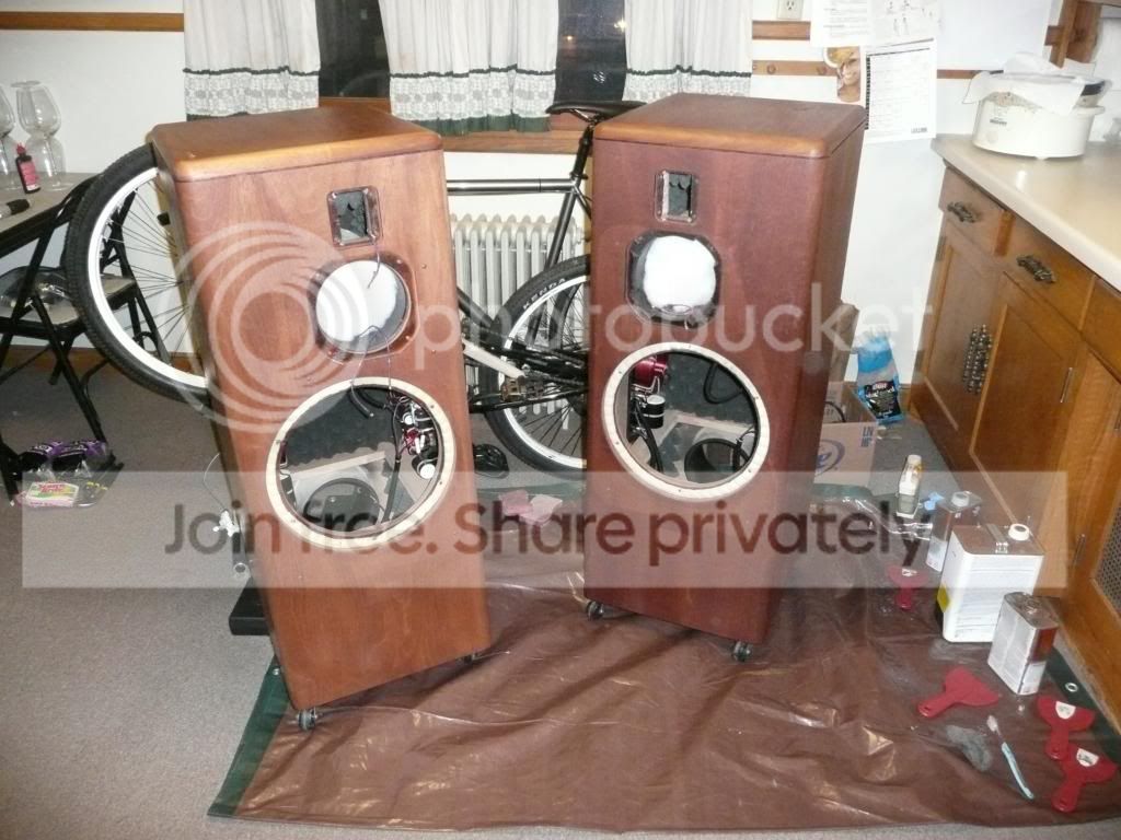 Rare Birds - Condors Acoustic Design SC-3 with Raven Ribbon Tweeters ...