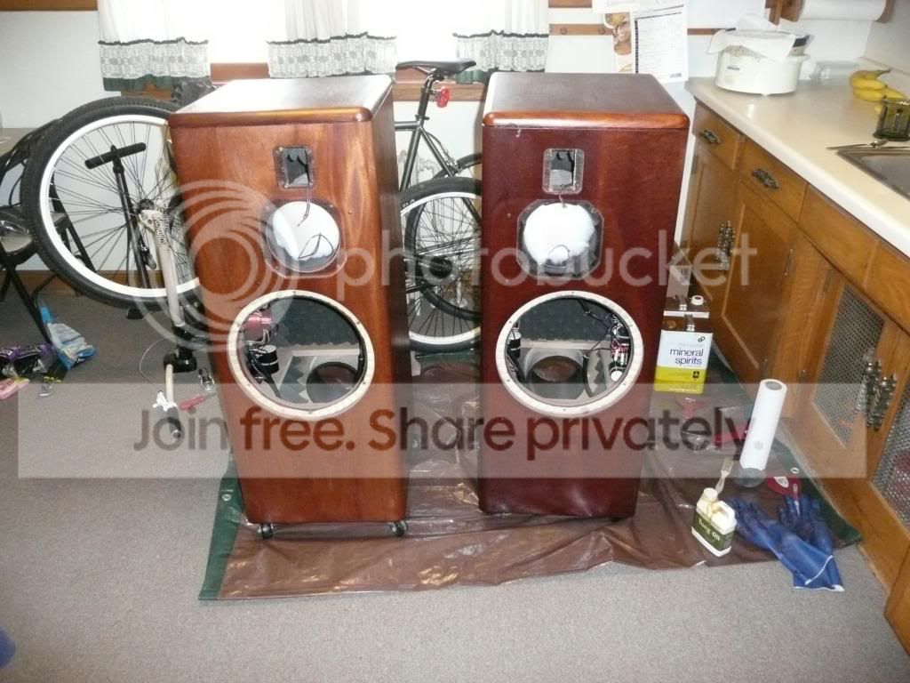 Rare Birds - Condors Acoustic Design SC-3 with Raven Ribbon Tweeters ...