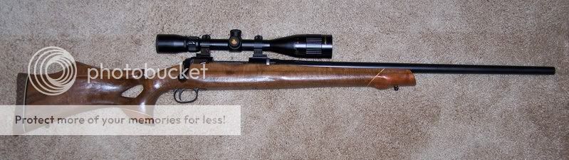 Bib Bullets? | Shooters' Forum