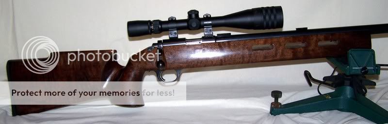 H&R M12 with custom stock | Rimfire Central Firearm Forum